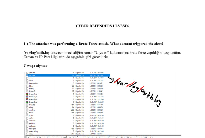 Do Ram Dump Forensics Disk Image Forensics By Sinbloderina Fiverr
